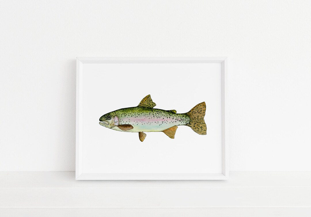 Rainbow Trout Watercolor Art Print - Trout, Fishing, Fish, Fly Fishing ...