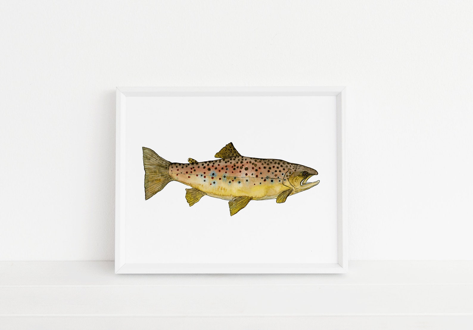 Brown Trout- Watercolor Art Print, Trout, Fishing, Fish, Fly Fishing - Etsy