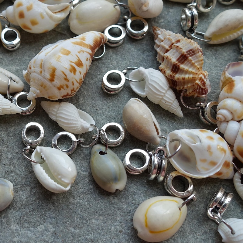 Shell Charm Bracelet - Etsy