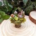 Fairy Table W/ Crystals and Potion Fairy Garden Accessories - Etsy