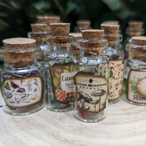 Miniature Apothecary - Etsy
