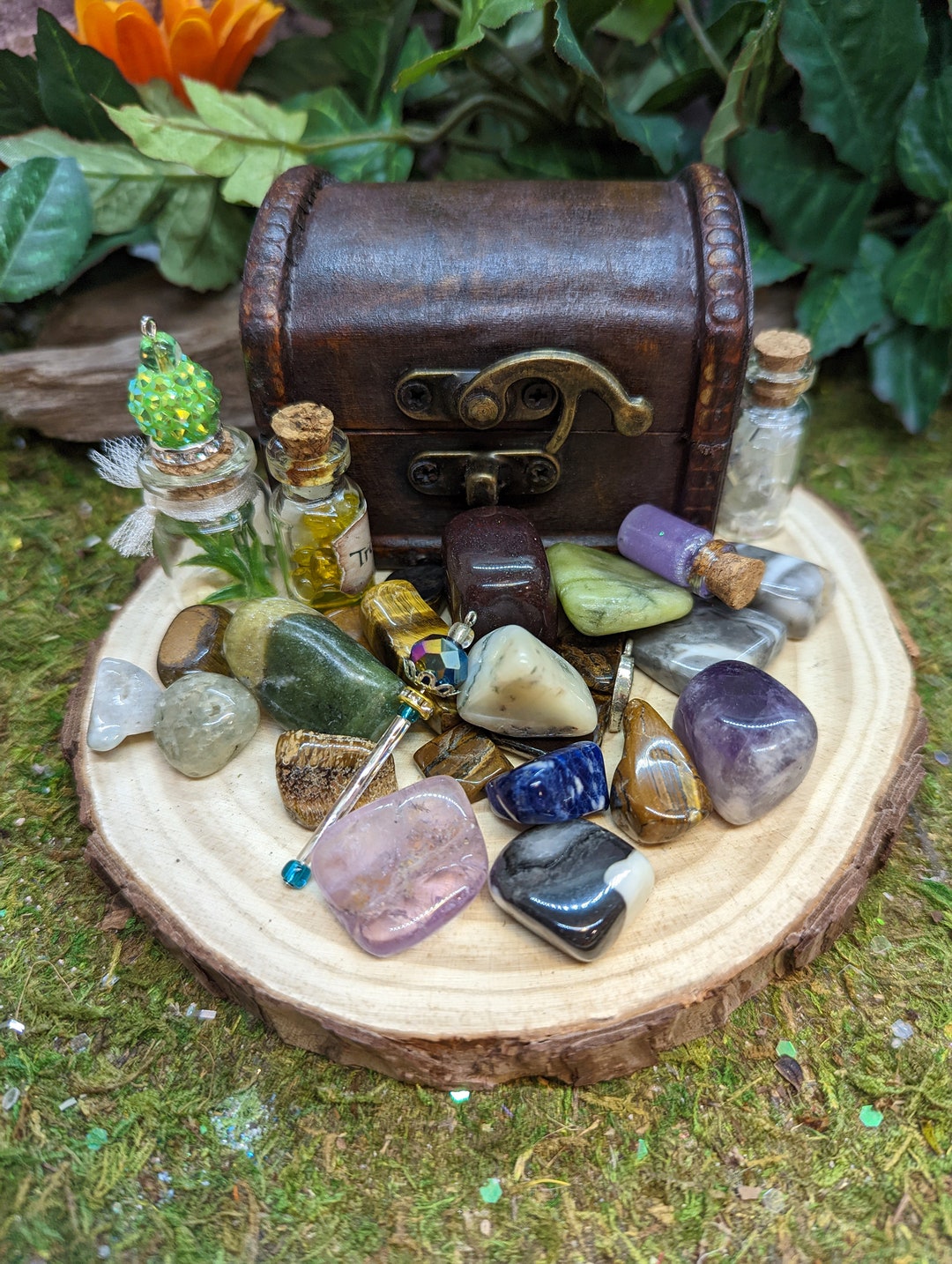 Fairy Treasure Box Kit Filled W/ Mini Fairy Garden Magic Potions, Real ...