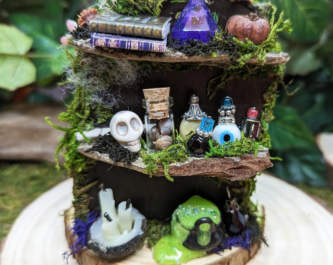 Handcrafted Miniature Fairy Bookshelf With Potions - Halloween Decor - Etsy