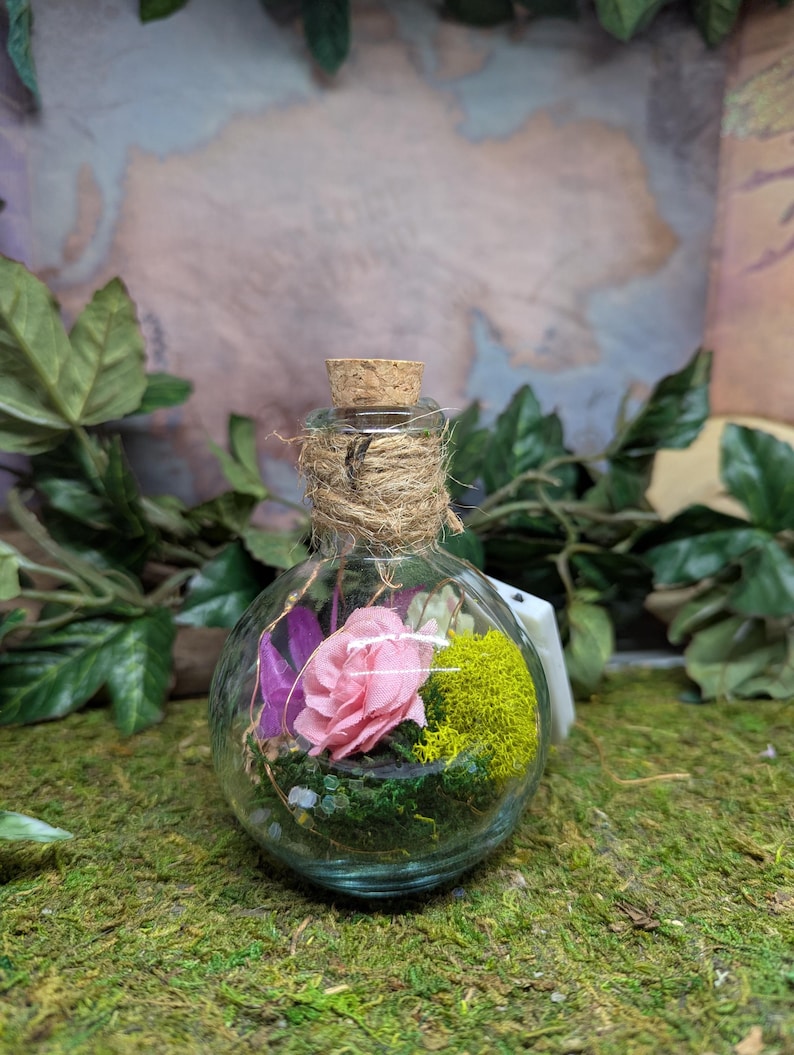Flower Fairy Night Light: Potion Bottle, Moss & Pinecone - Etsy