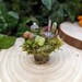 Fairy Table W/ Crystals and Potion Fairy Garden Accessories - Etsy