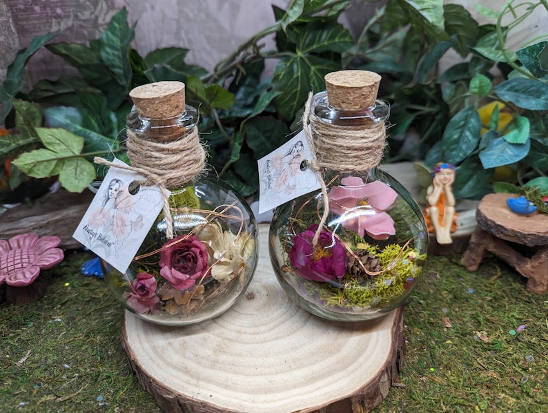 Flower Fairy Night Light: Potion Bottle, Moss & Pinecone - Etsy