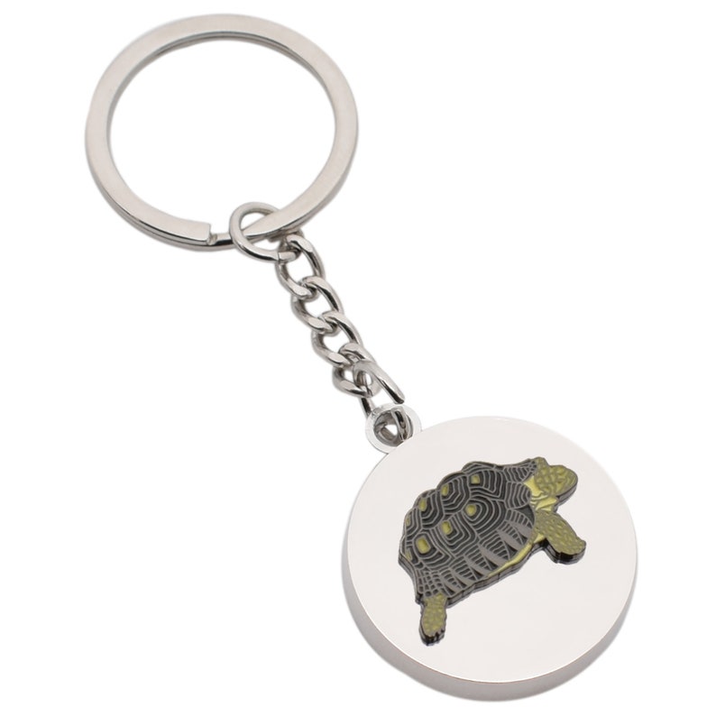 Tortoise Garden Animal Design With Special Personalised Engraved ...