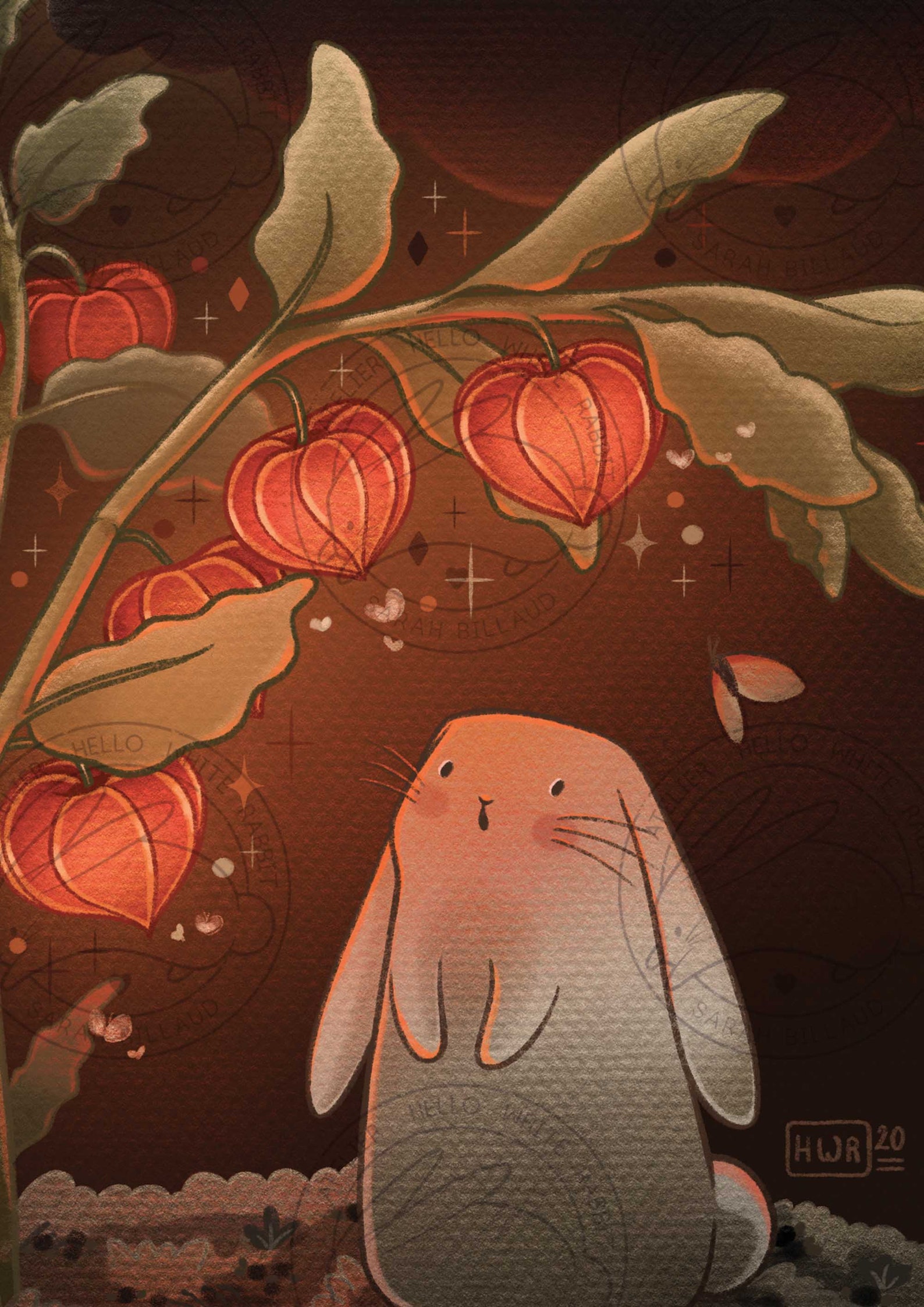 Cape Gooseberry Print Rabbit & Physalis Illustration Fall - Etsy