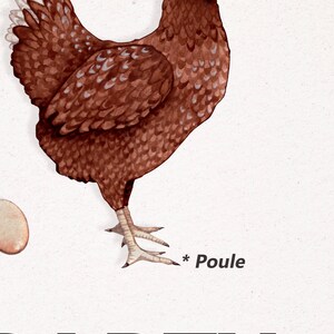 Chicken Poster - Watercolor Drawing - Hen, Funny Message Poster, Pool ...