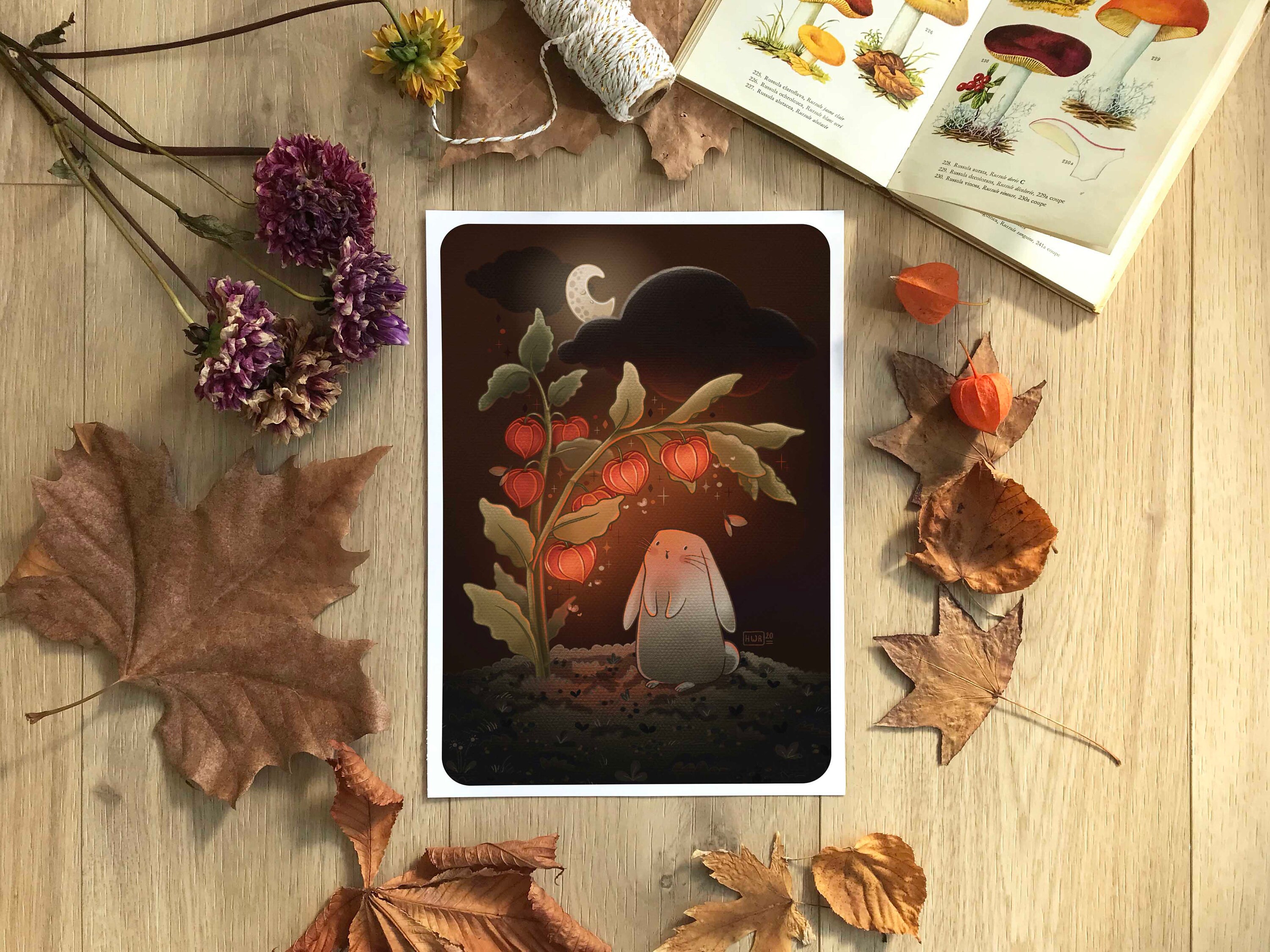 Cape Gooseberry print Rabbit & physalis illustration Fall | Etsy