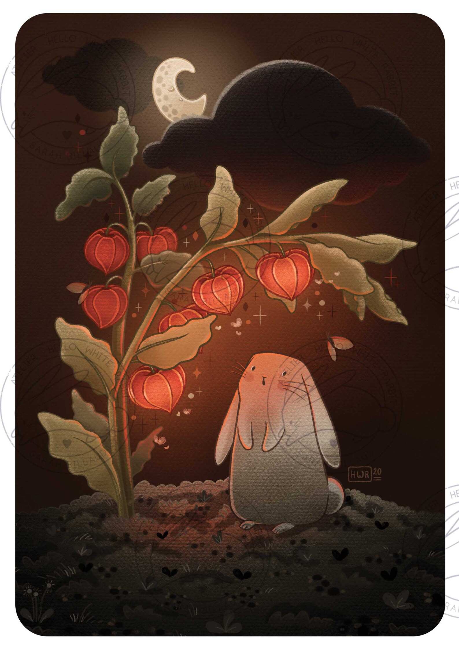 Cape Gooseberry Print Rabbit & Physalis Illustration Fall - Etsy