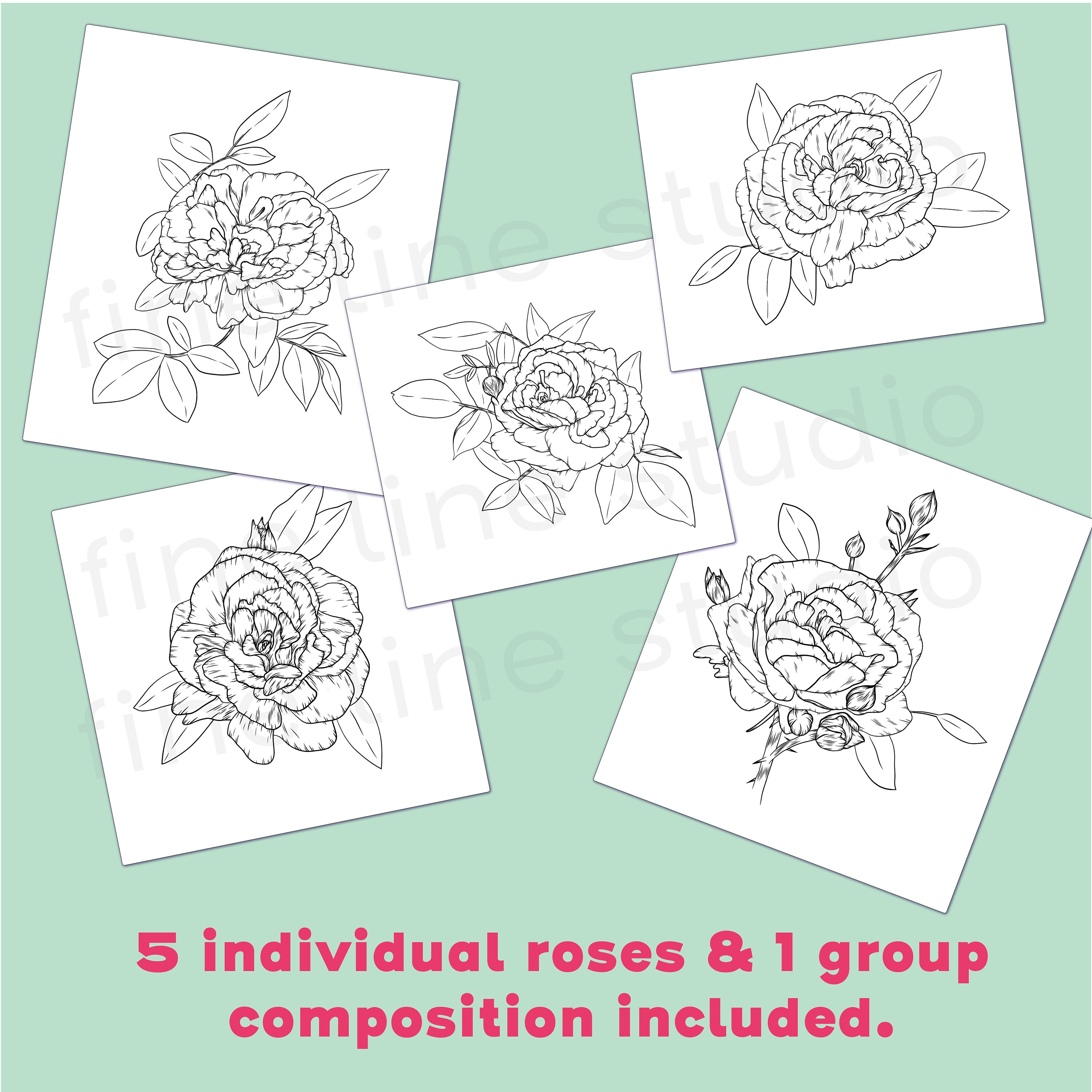 Rose Floral Line Art Design Bundle: Svg Png Dwg Pdf Vector Graphic Cut ...