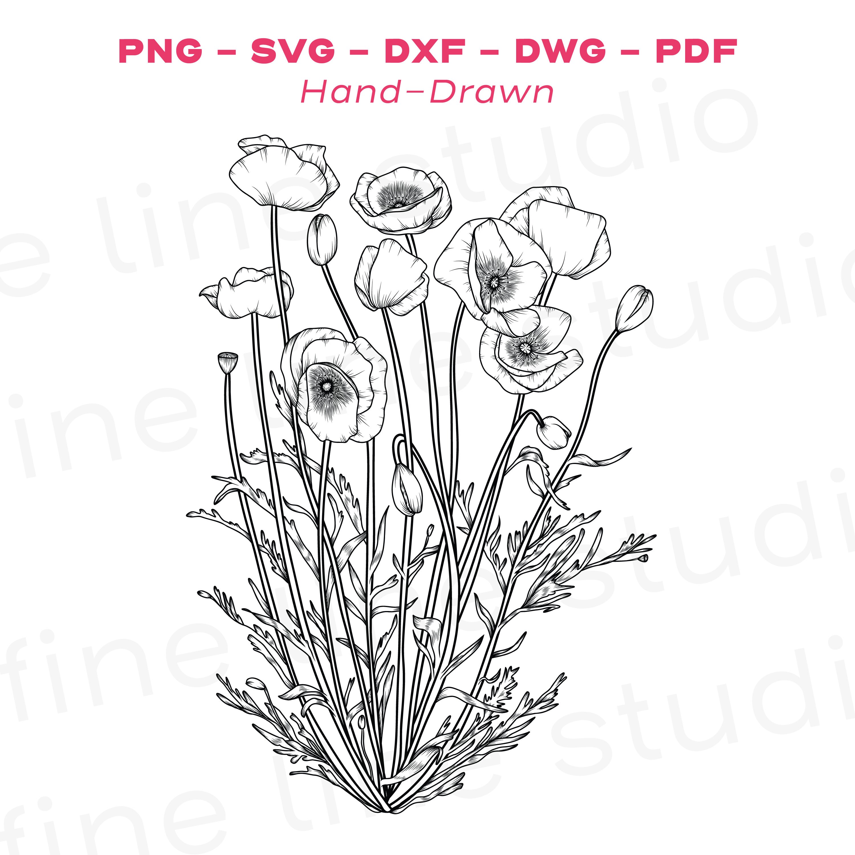 Poppy Floral Line Art Design Printable: Instant Download, Poppy Outline ...