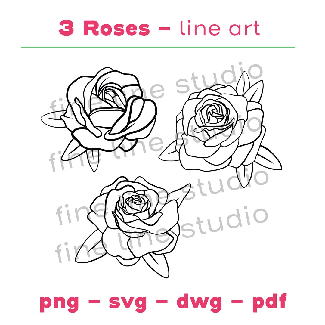 Three Roses Line Art Floral Design Svg Png Pdf Dwg Vector Graphic Cut ...