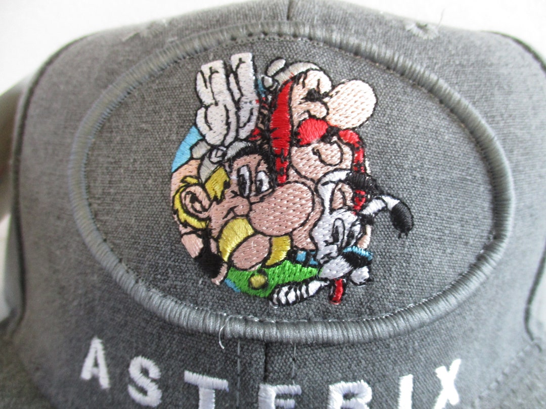 Asterix Obelix Idefix the Comic by Goscinny & Uderzo Vintage Washed ...