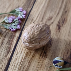 Handcrafted Walnut Shell Ring Box: Rustic Nature-inspired Jewelry ...