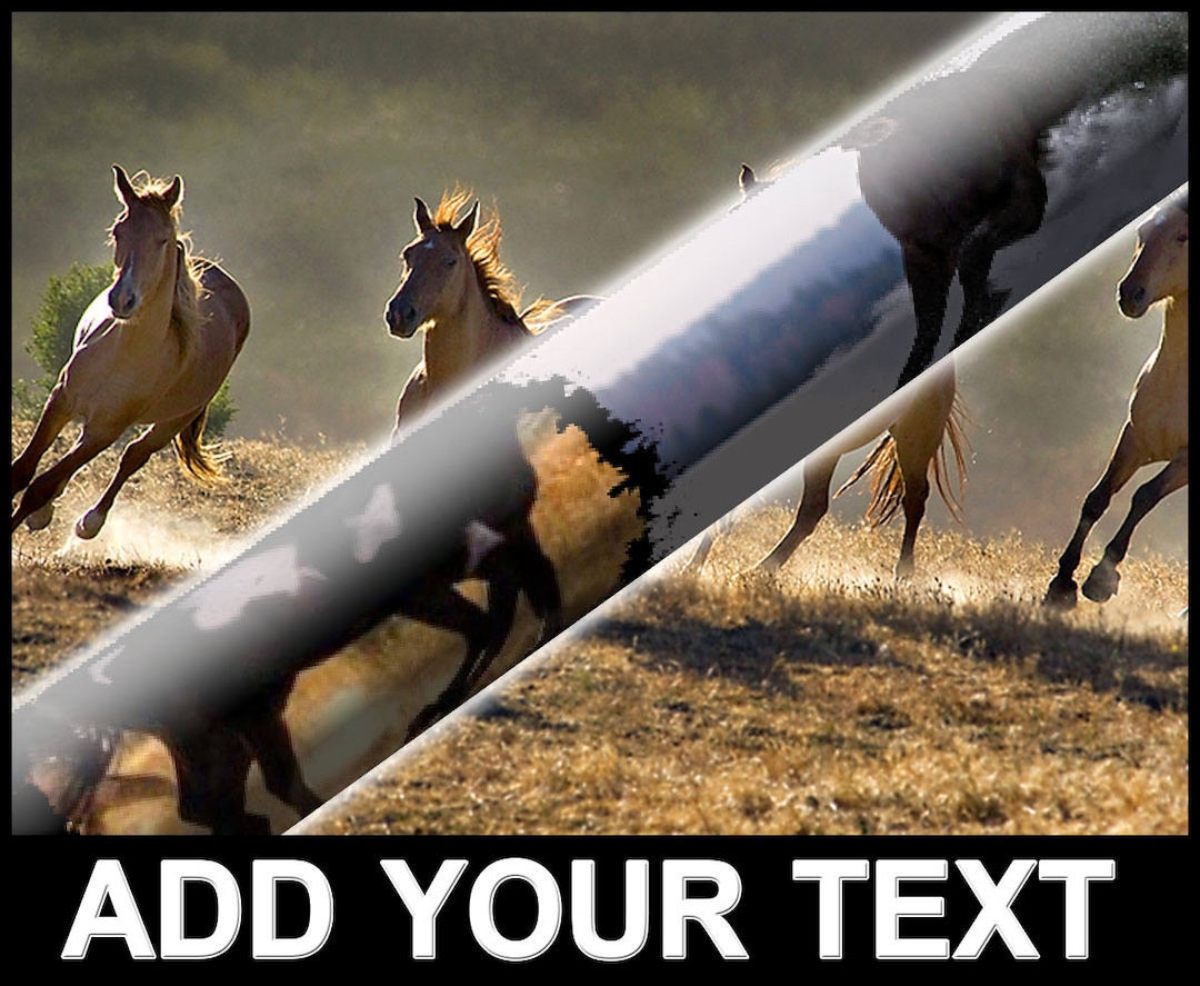 WILD HORSE - MUSTANG Ash Pool Cue - Add Your Name - Made to Order - Etsy