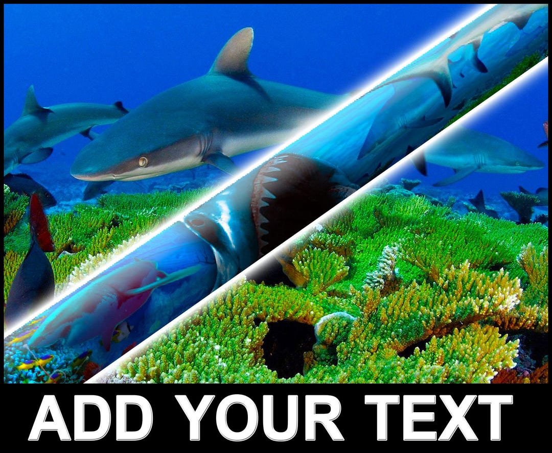 SHARK REEF Ash Pool Cue - Made to Order - Add Your Text - Etsy