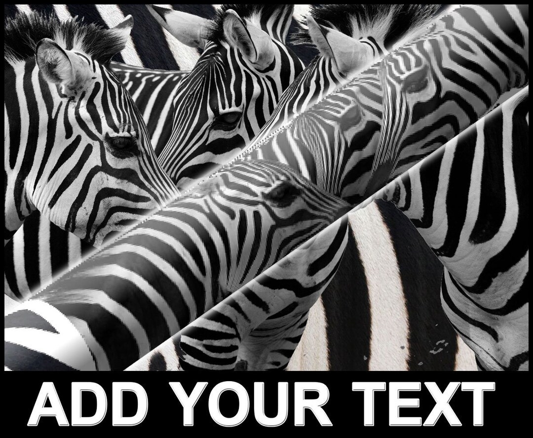 ZEBRA STRIPE Ash Pool Cue - Made to Order - Add Your Text - Etsy