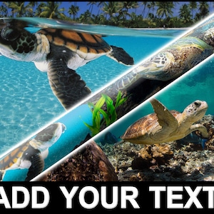 SEA TURTLE Ash Pool Cue - Made to Order - Add Your Text - Ocean Reef - Etsy