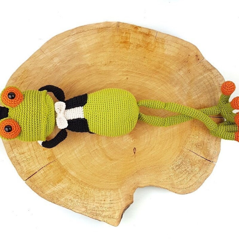 Fergus Frog Pattern - Etsy