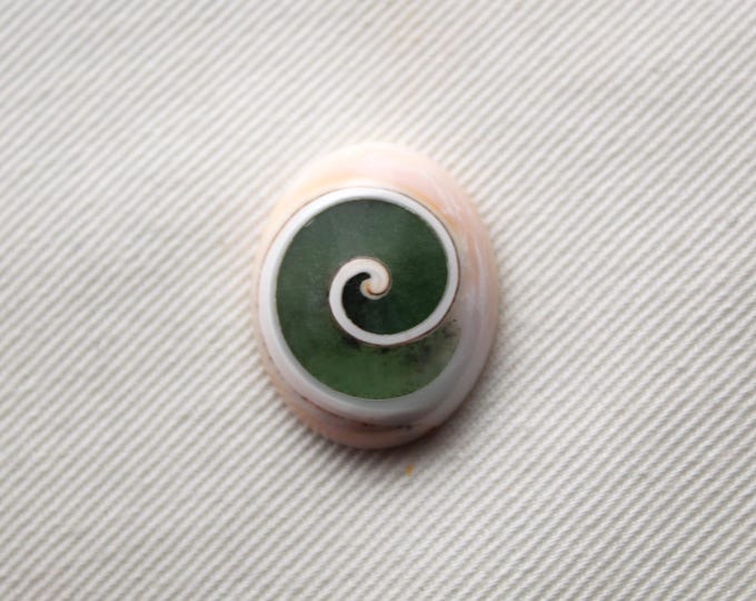 Green Shiva Eye Snail Fossil Oval Gemstone - Etsy