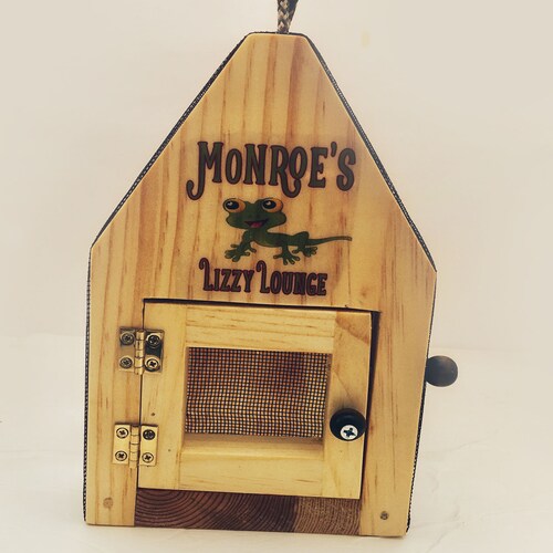 Wooden Bug and Critter Cage - Etsy