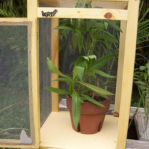 Large Monarch Butterfly Enclosure Habitat (24"x15"x15" Wooden Frame ...