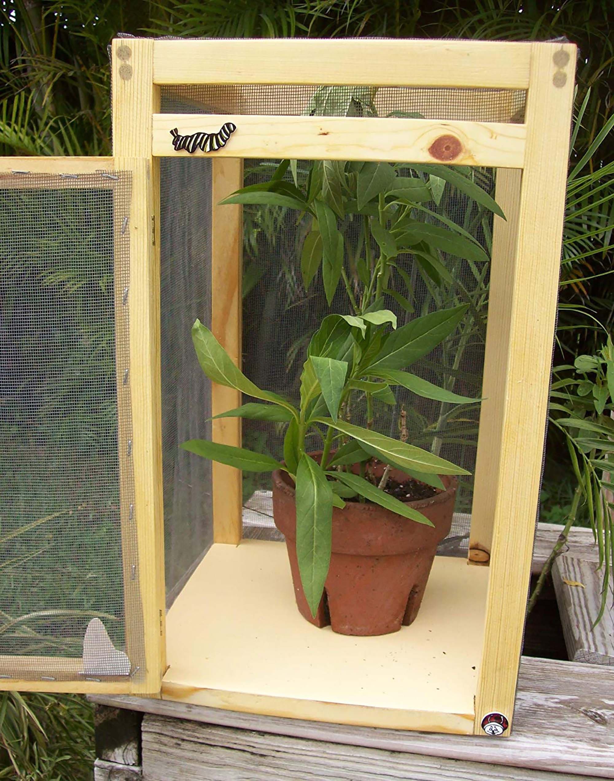 Large Monarch Butterfly Enclosure Habitat (24"x15"x15" Wooden Frame ...