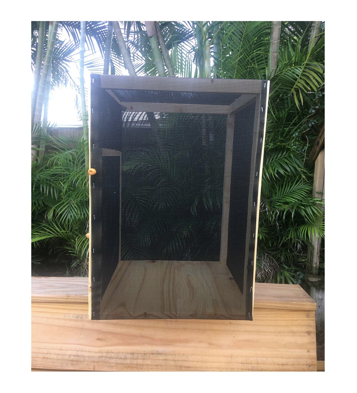 Large Monarch Butterfly Enclosure Habitat (24"x15"x15" Wooden Frame ...