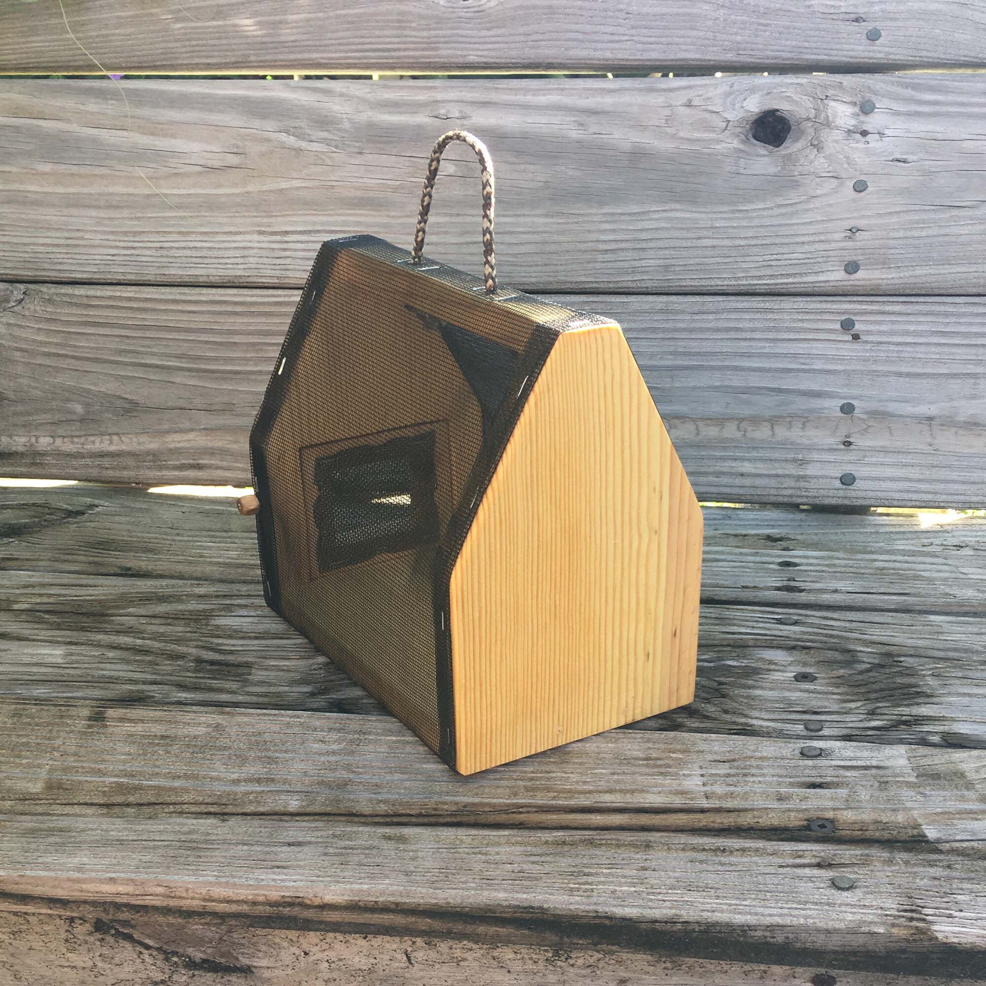Wooden Lizard or Bug Box Critter Cage Insect Carrier - Etsy