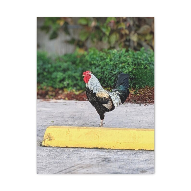 Rooster - Etsy