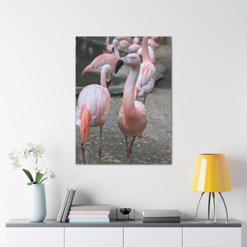 A Flock of Friendly Flamingos - Etsy