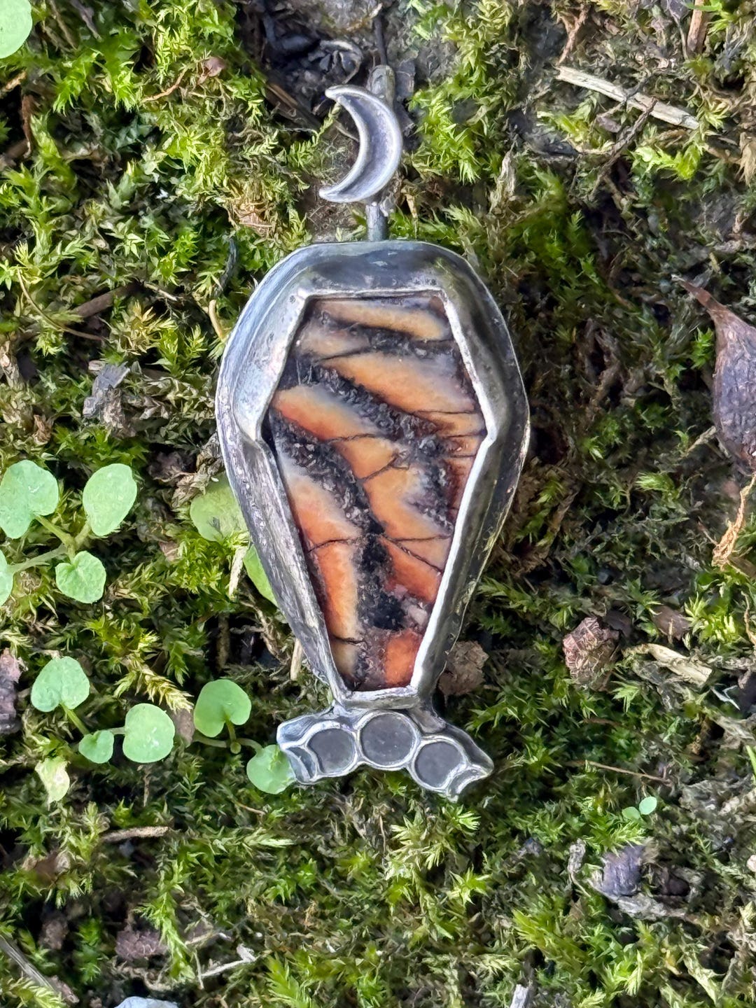 Coffin Necklace With Fossilized Snake Skin Wrasse Halloween All Hallos ...