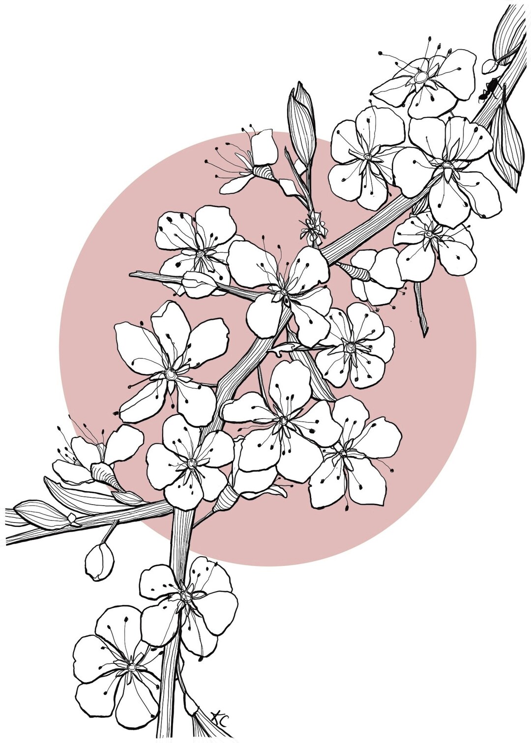 Botanical Art Print Art Japanese Style Blossom Art Flower - Etsy