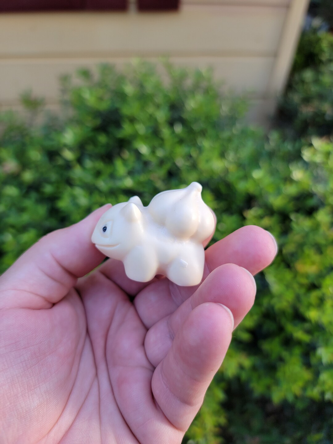 Amazing Tagua Nut ivory Nut, Buddha Nut Animal Carving Gorgeous Very ...