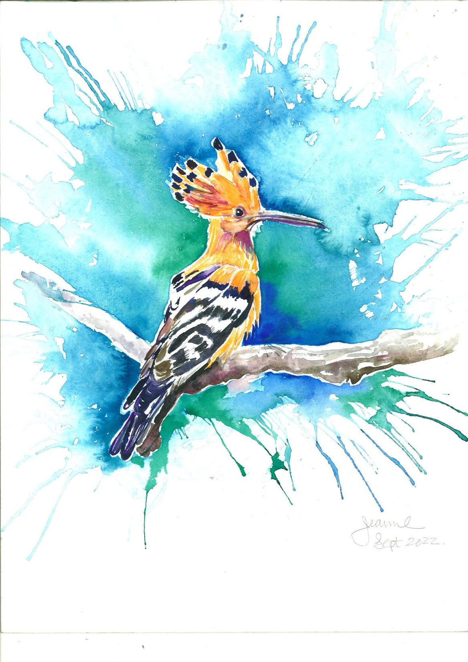The African Hoopoe - Etsy