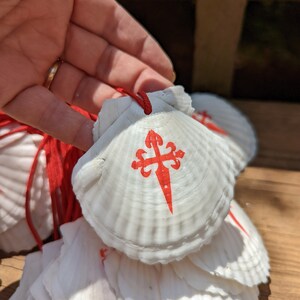 Small Camino Scallop Shells With Red Cross / Camino De Santiago ...