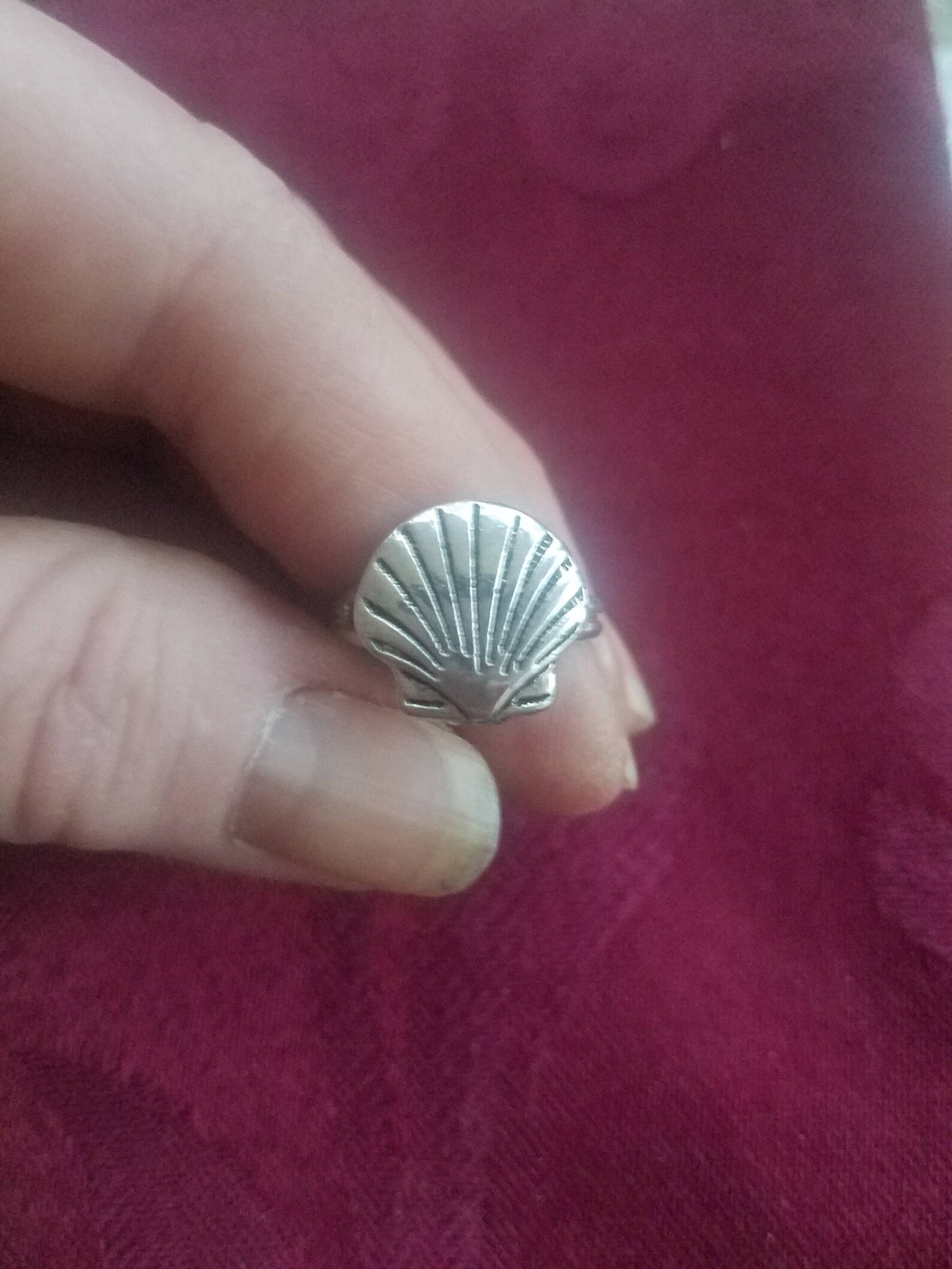 Scallop Shell Ring /camino De Santiago / Pilgrim / Beach / St James - Etsy