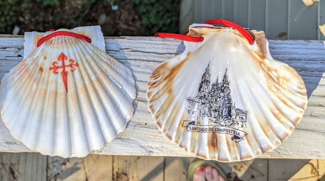 NEW Camino De Santiago Pilgrim Scallop Shells / Inside Image of the ...