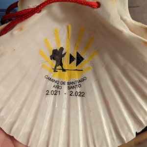 NEW Camino De Santiago Pilgrim Scallop Shells / Inside Image of the ...