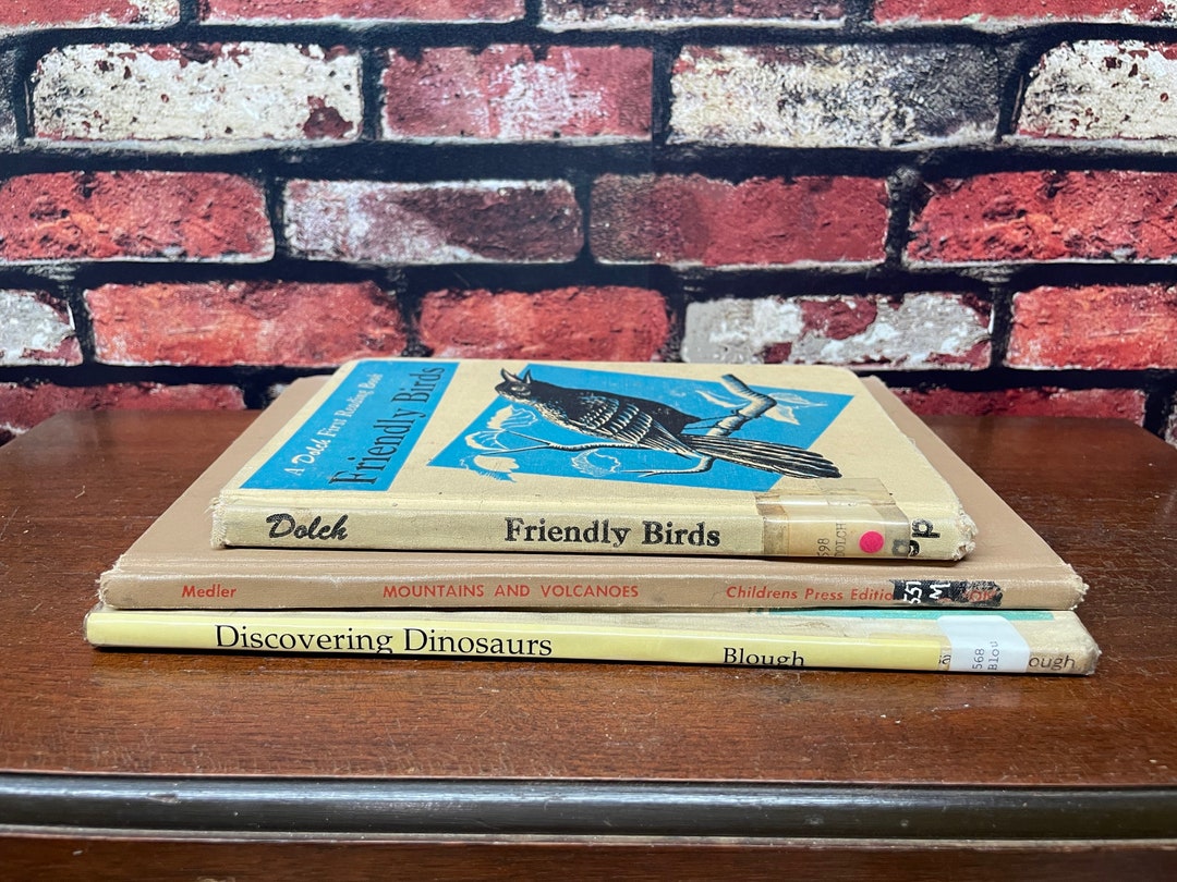 Lot of Three Library Bound Science Books - Etsy