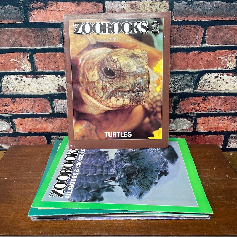 Zoobooks - Etsy