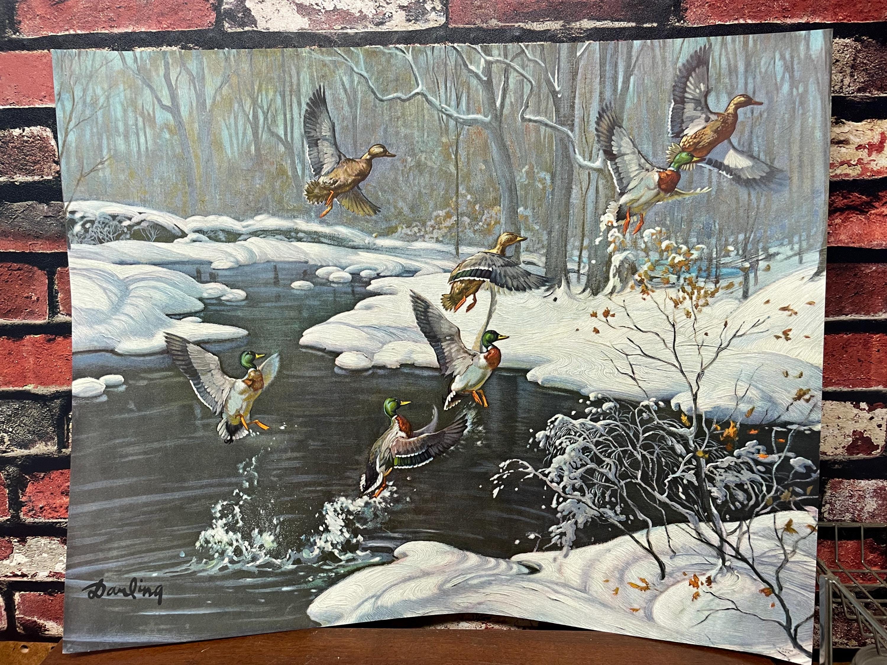 Vintage Unframed Lithograph by Louis Darling - Etsy