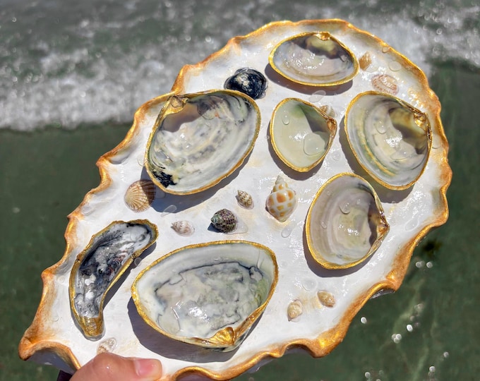 Seashell Paint Palette, Watercolor Paint Palette, Jewelry Holder ...