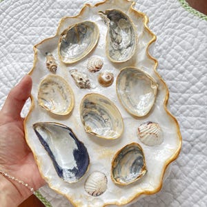 Seashell Paint Palette, Watercolor Paint Palette, Jewelry Holder ...