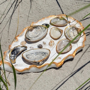 Seashell Paint Palette, Watercolor Paint Palette, Jewelry Holder ...