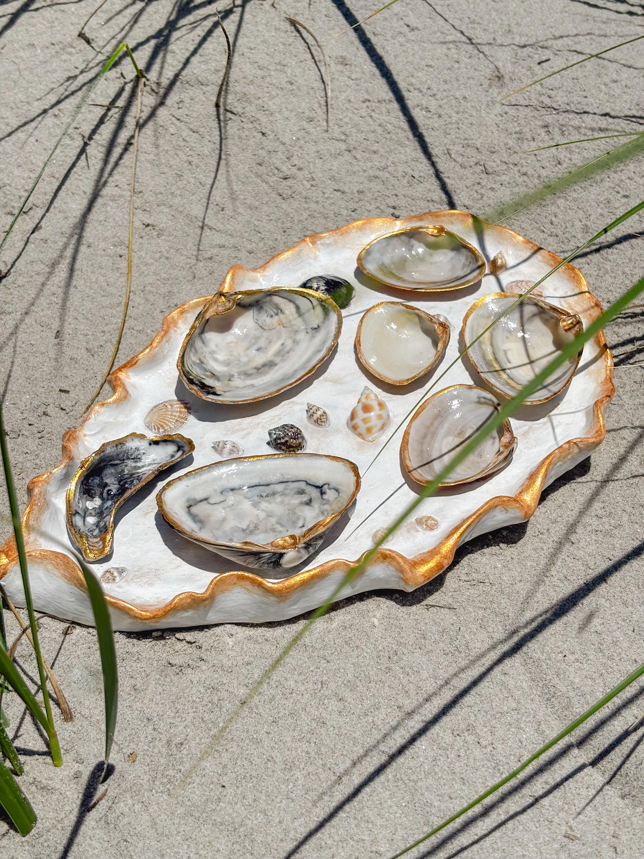 Seashell Paint Palette, Watercolor Paint Palette, Jewelry Holder ...