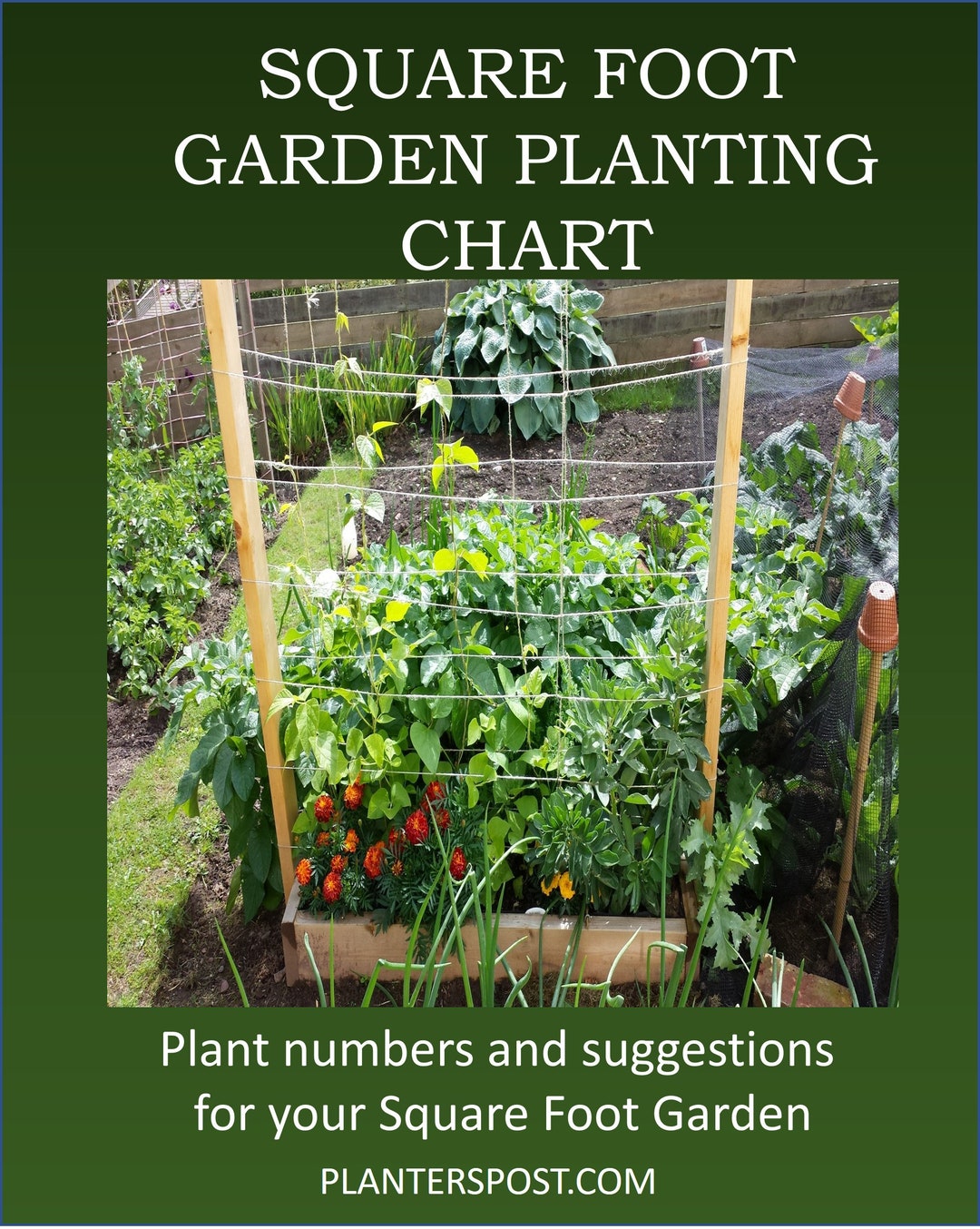Square Foot Garden Plant Numbers Chart - Etsy