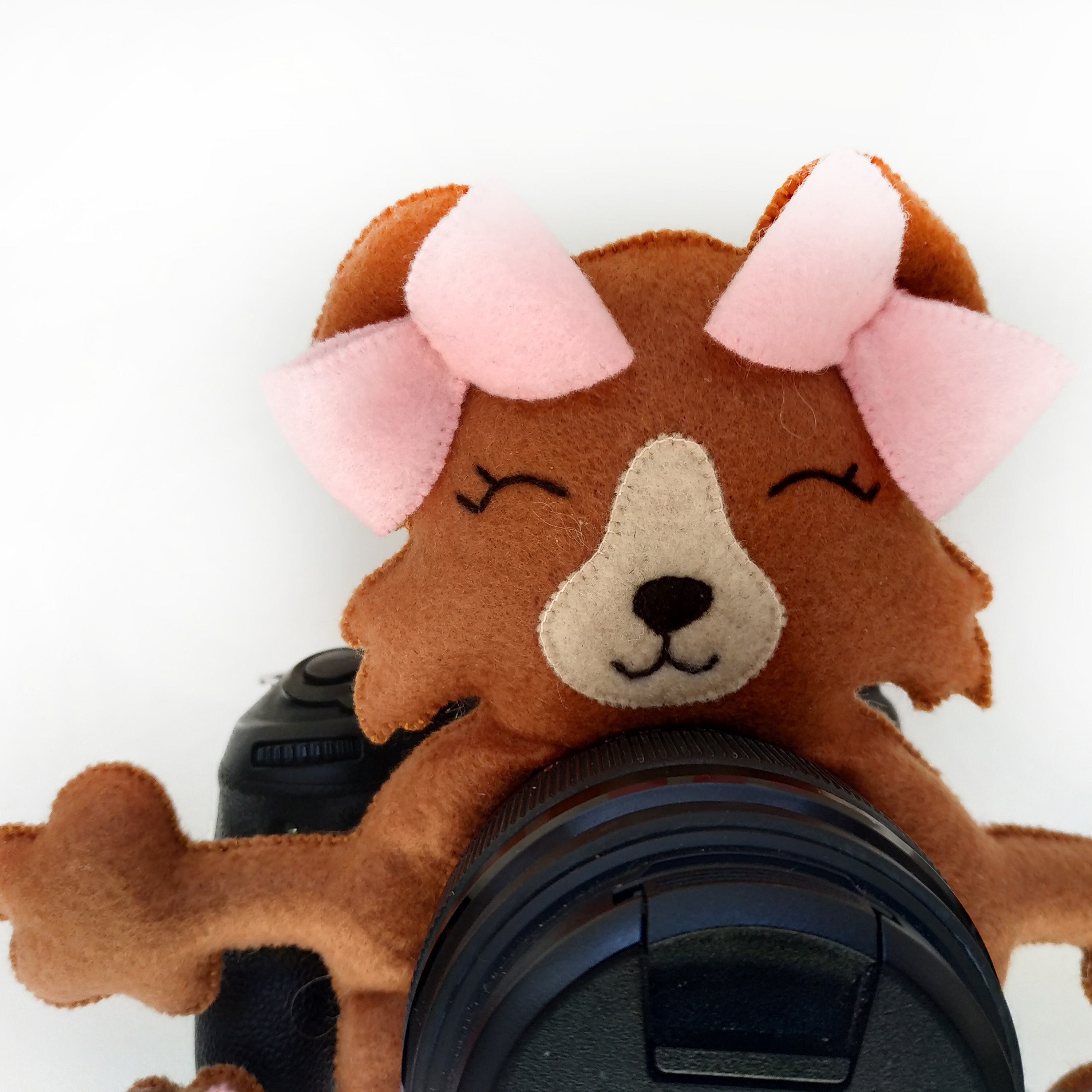 Camera Buddy Photography Accessory Camera Lens Buddy - Etsy